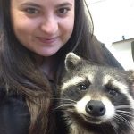 Real-Life Rocket Raccoon Model 'Oreo the Raccoon' Passes Away