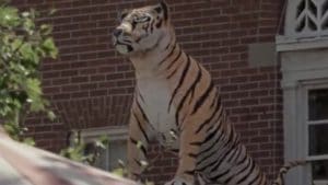 'The Walking Dead' Pays Tribute To Shiva