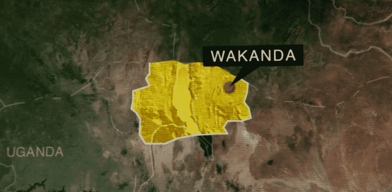 Plot Twist: Wakanda Exists and an US Trade Partner