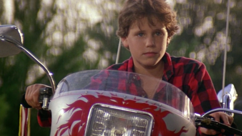 The Best Werewolf Movies Of All Time, Ranked