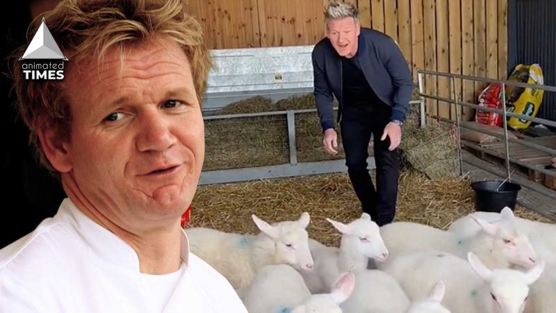 ‘Which one’s going to the oven first?’: Celebrity Chef Gordon Ramsay ...