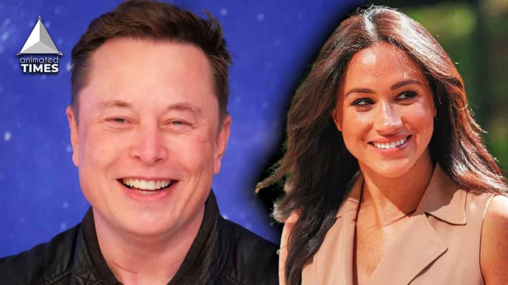 “Elon Musk is still single”: Meghan Markle Might Leave Prince Harry and ...